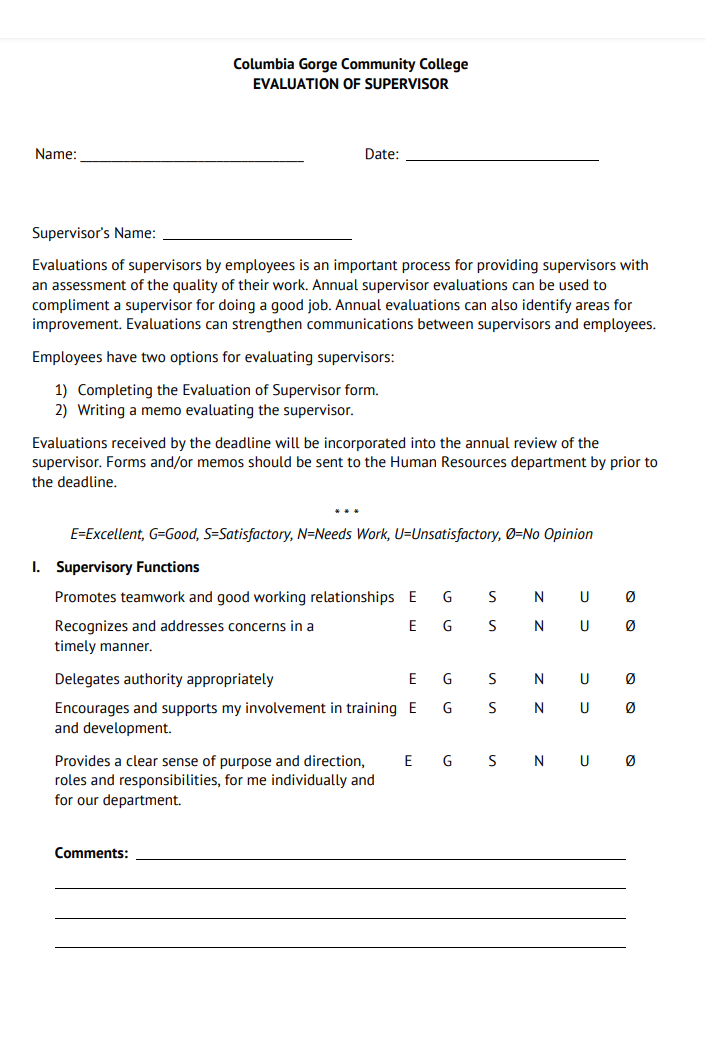 Supervisor Evaluation Form | Free Payslip Templates